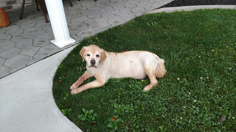 Our Team | Keith D. Smith Concrete